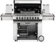 Napoleon Prestige PRO™ Series 9-Burner Stainless Steel Freestanding ...