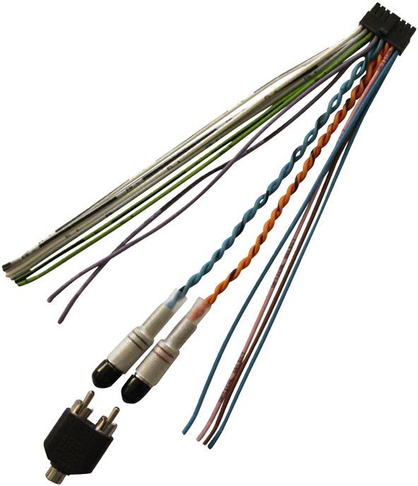 Audison 2 RCA Adapter Cable | Steiner's Audio Video