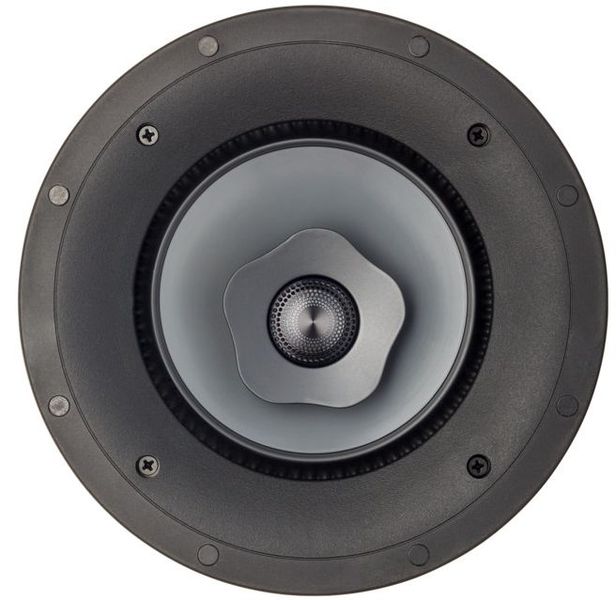 Paradigm® CI Pro Series P65-RX Outdoor/Marine Speaker