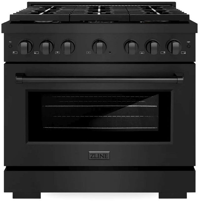 ZLINE Paramount Black Stainless Steel Freestanding Dual Fuel Range ...