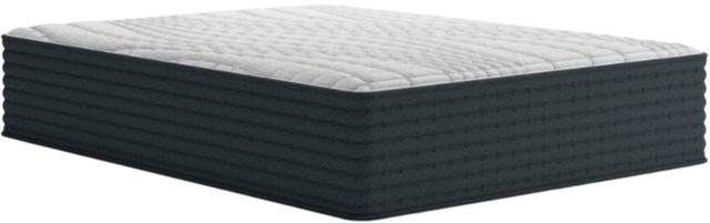 Sierra Sleep® By Ashley® 14" Hybrid Ultra Plush Box Top King Mattress ...