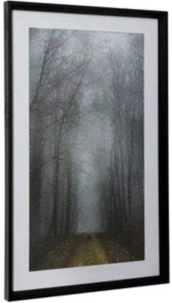 Stylecraft Moonlight Mist Black/White Wall Art | Fischer Furniture ...