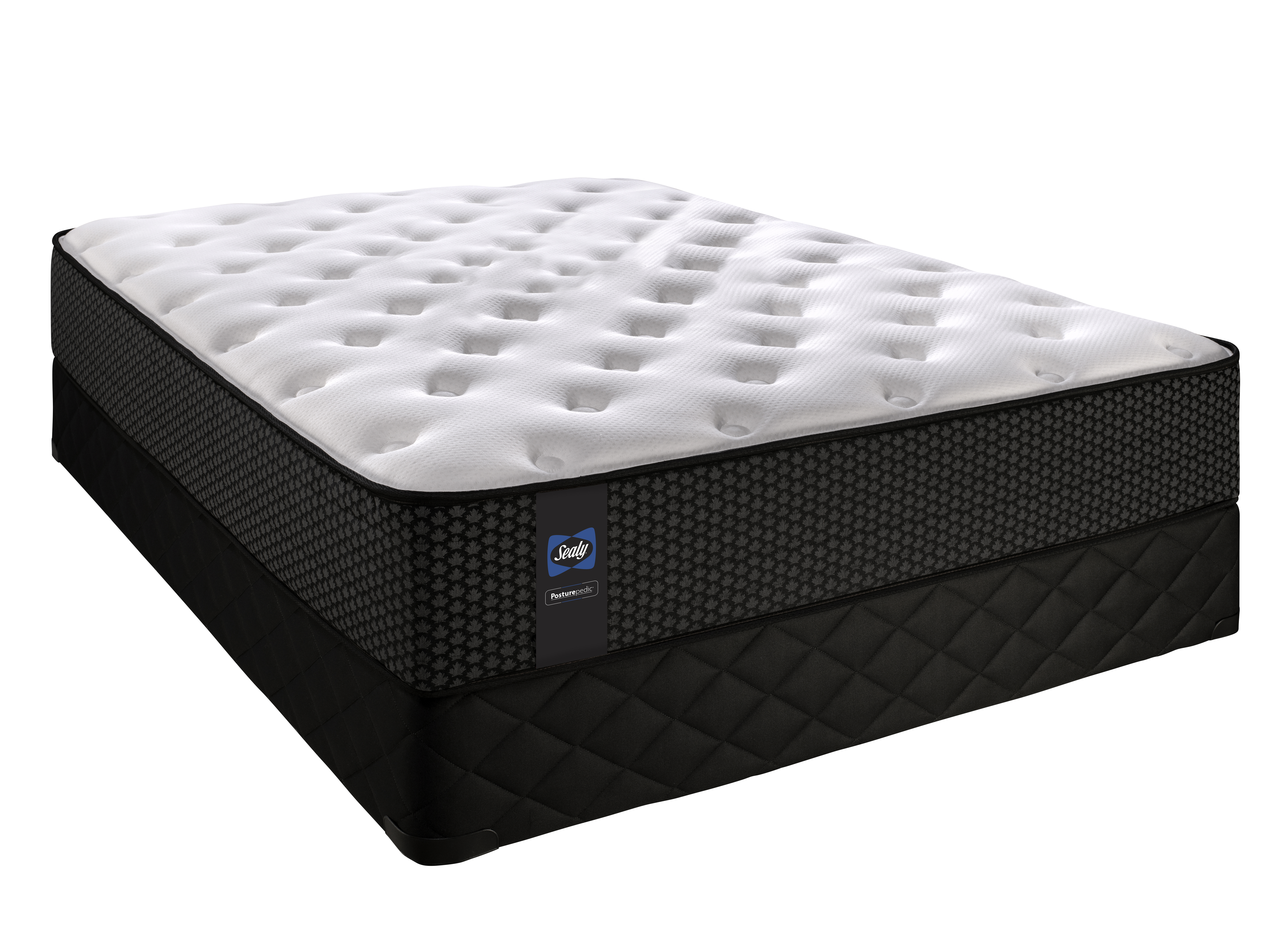 Sealy coil mattress store