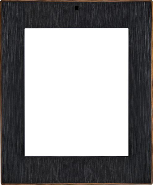 Control4® DS2 Venetian Bronze Mini Surface Plate-C4-DS2MINISP-VB | Bond ...