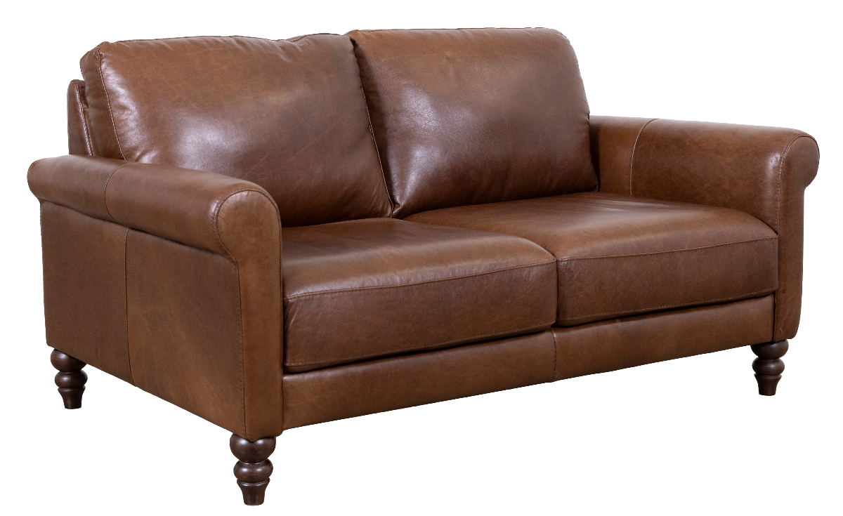 Softline leather furniture company store
