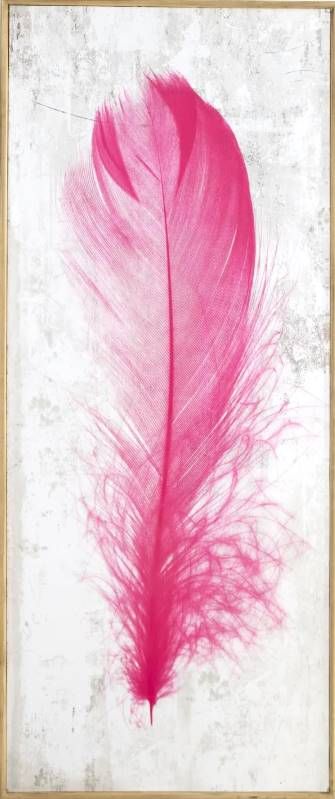 Classy Art Pink Feather Wall Art | Fischer Furniture | Rapid City, SD