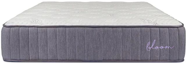 Brooklyn Bedding 14" Bloom Luxe Hybrid Medium Firm Mattress in a Box ...