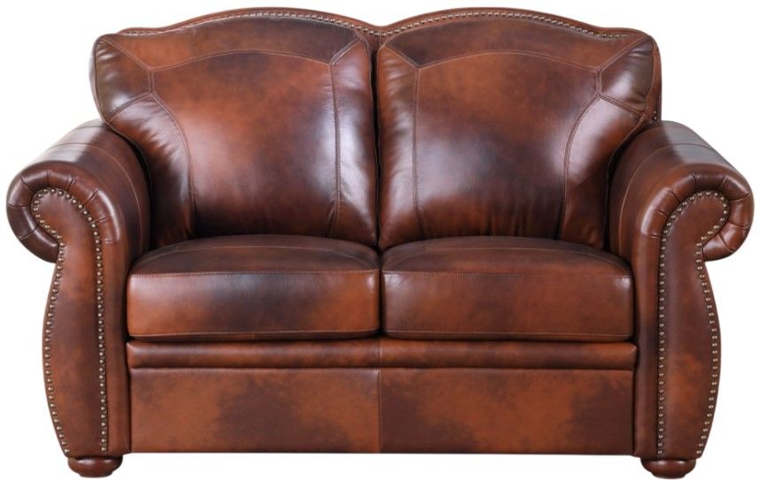 Leather Italia™ Cambria Arizona Marco Loveseat | Hubbard and Hoke Furniture