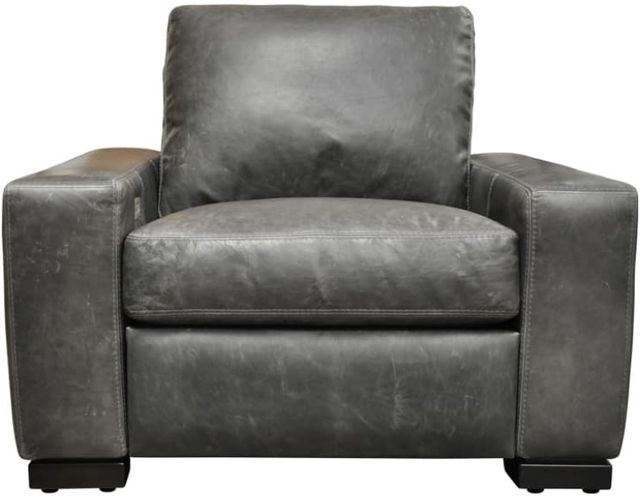 Omnia® Leather Maximo 46" Power Recliner | Karvonen’s
