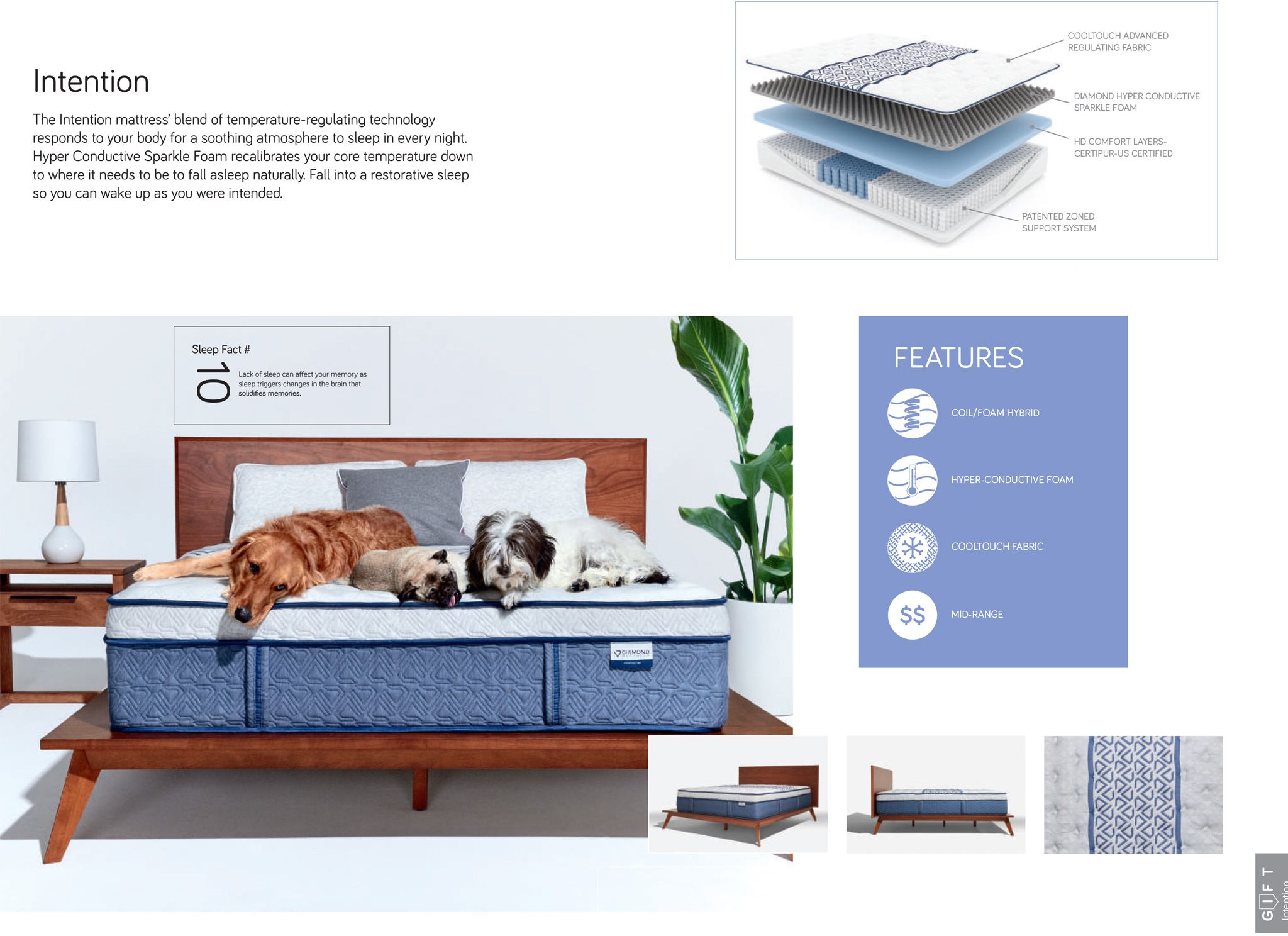 Diamond intention hybrid store