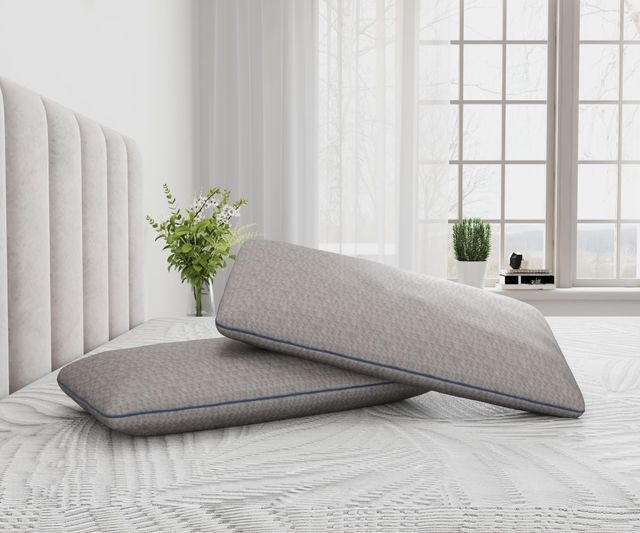 Elements International Elements Sleep 6-Piece Lavender Memory Foam Pillows | Big Sandy ...