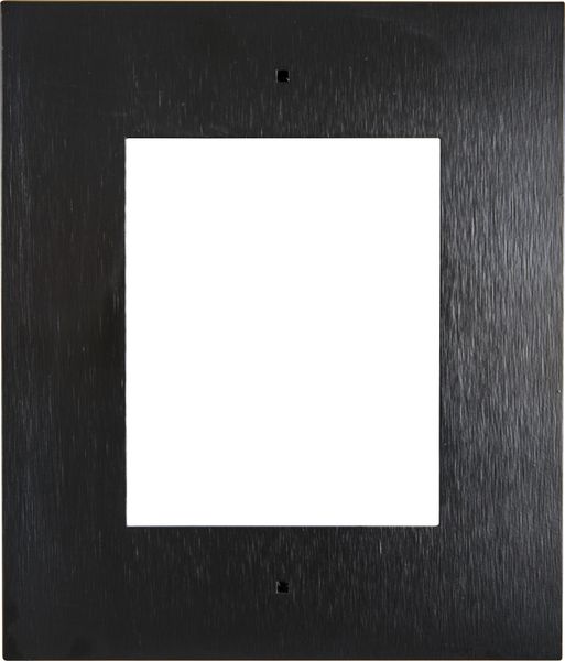 Control4® DS2 Black Mini Flush Plate-C4-DS2MINIFP-BL | Steiner's Audio ...