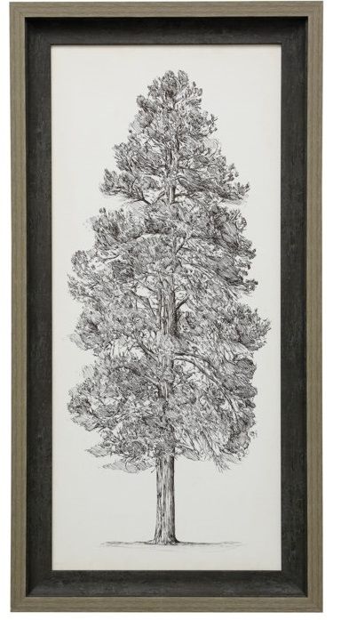 StyleCraft Pacific Northwest Tree Sketch II Gray Print Under Glass ...