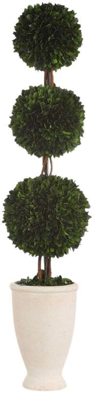 Uttermost® Preserved Boxwood Chalk White Triple Topiary Planter ...