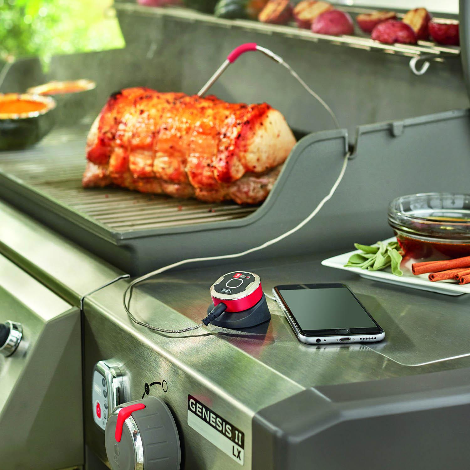 Weber Grills iGrill Mini Jeff s Appliances