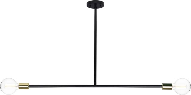 Renwil® Paris Black & Polished Brass Pendant Light | Marshall's Home Living | Kelowna, BC