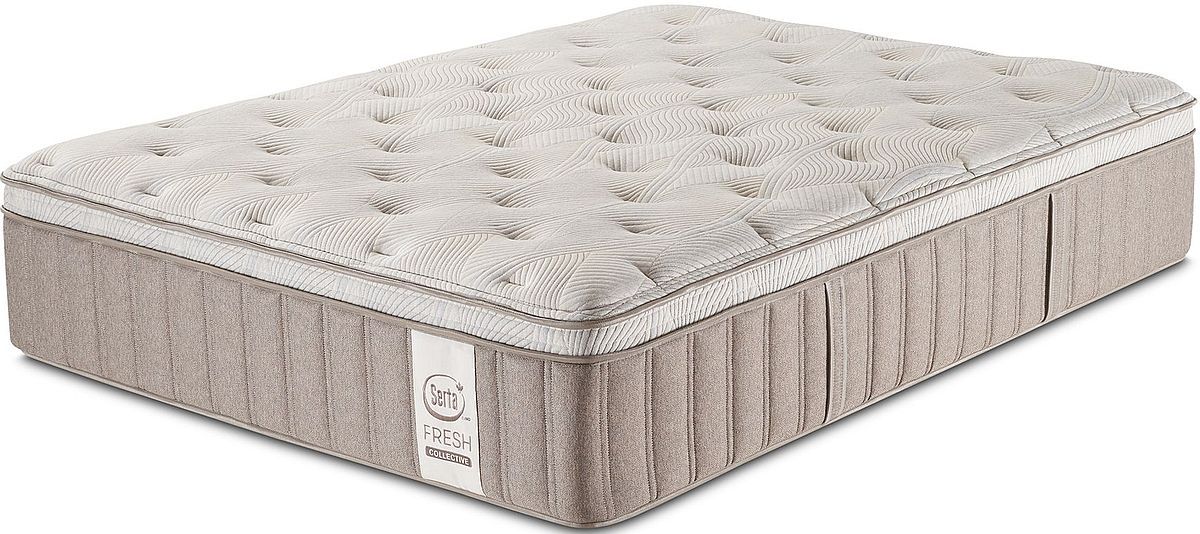 Serta® Fresh Collective Organic Cotton Papyrus Hybrid Medium Pillow Top ...
