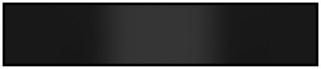 Wolf® 24" Black Glass Front Panel | Baker's Appliance Canada