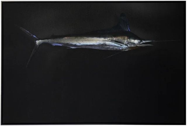 StyleCraft Sailfish Style 1 Wall Art | The Cleveland Furniture Company ...