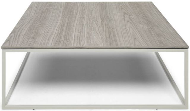 Natuzzi Editions Cabaret Silver Walnut Square Coffee Table with Gray ...