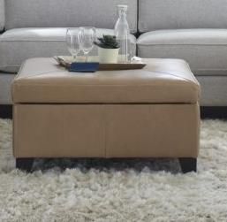 Jonathan Louis Gemini Ottoman | Fischer Furniture | Rapid City, SD