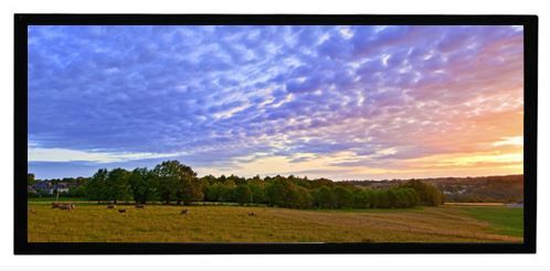 SnapAV Dragonfly™ 115" High Contrast Projection Screen-DF-115-HC-235 ...