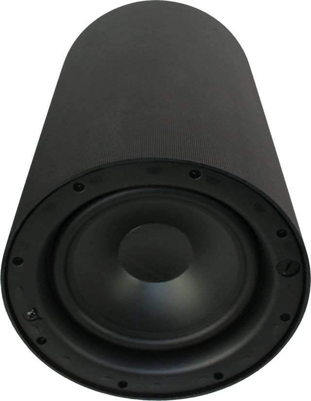 Origin Acoustics® Professional 8" Black Pendant Subwoofer | Steiner's ...