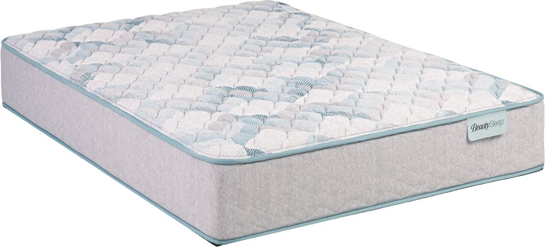 BeautySleep® Dream Weaver™ 11.5" Pocketed Coil Firm Tight Top Mattress ...