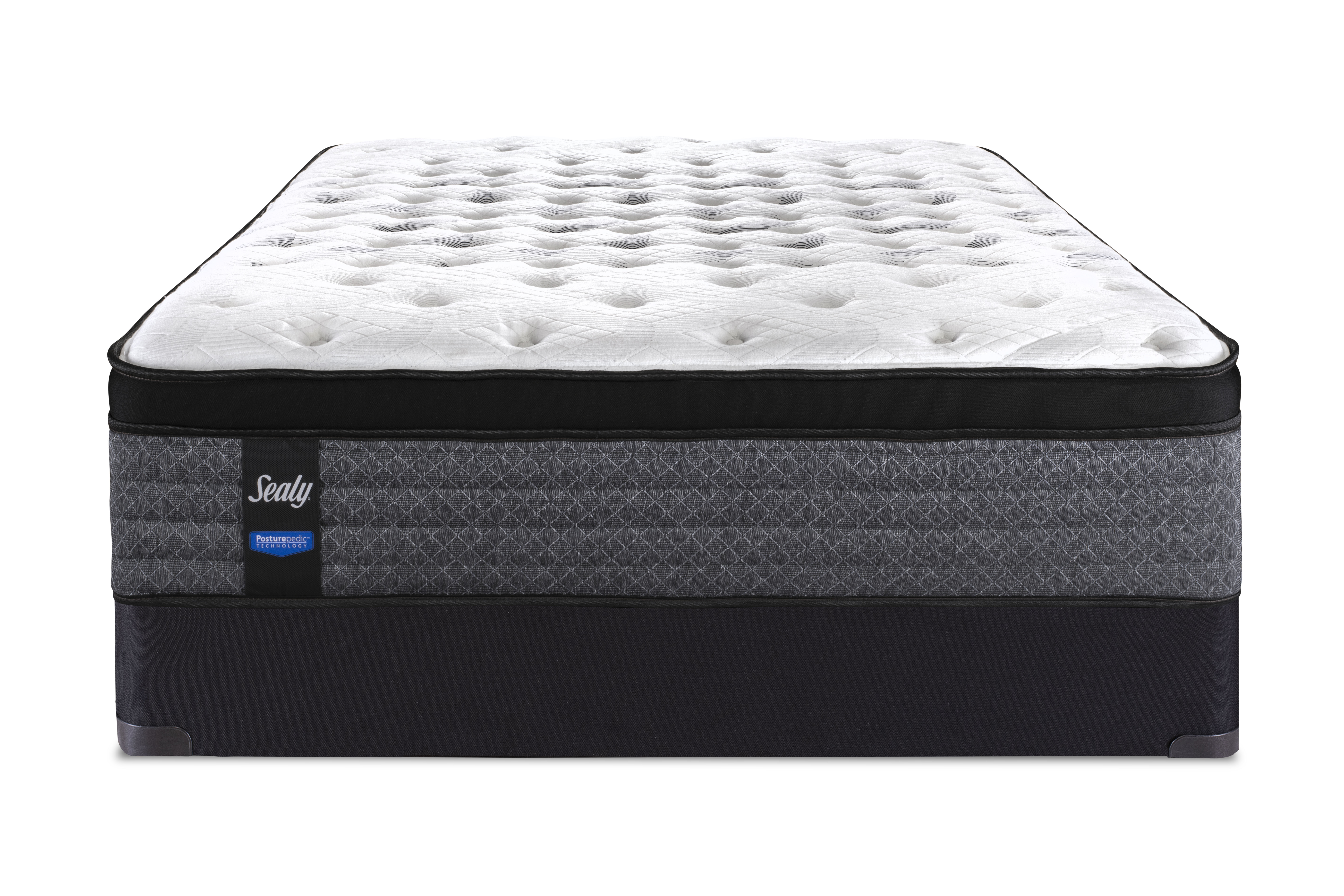 Sealy proback mattress store