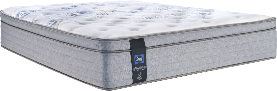 Sealy coil mattress store