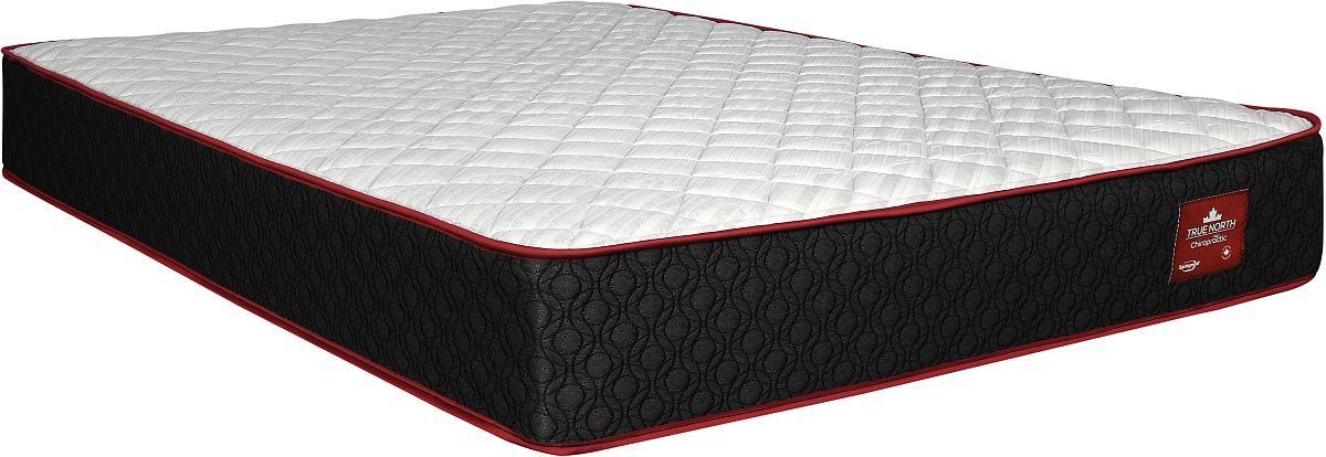 Springwall® True North Chiropractic® Montebello 10.5" Wrapped Coil Firm ...